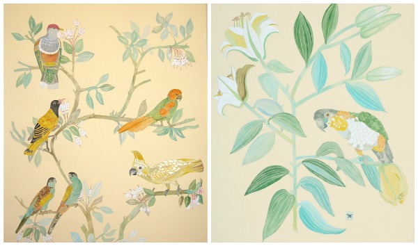 Spotlight: In Love With Shelley Hesse